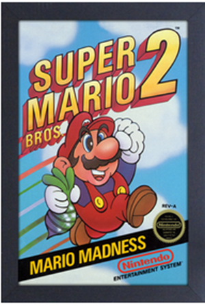 SUPER MARIO BROS 2 GAME COVER ART FRAMED PRINT 11" x 17" [PYRAMID AMER ...